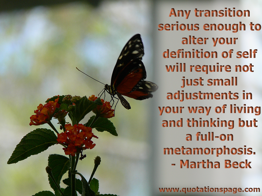 Serious Meaning Quotes Rahm Emanuel Quote: “You Never Let A Serious