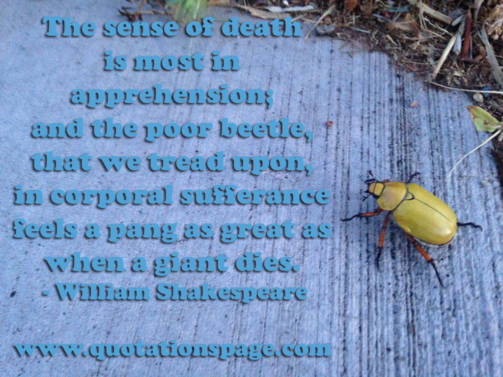 Quote Details: William Shakespeare: The sense of death... - The ...
